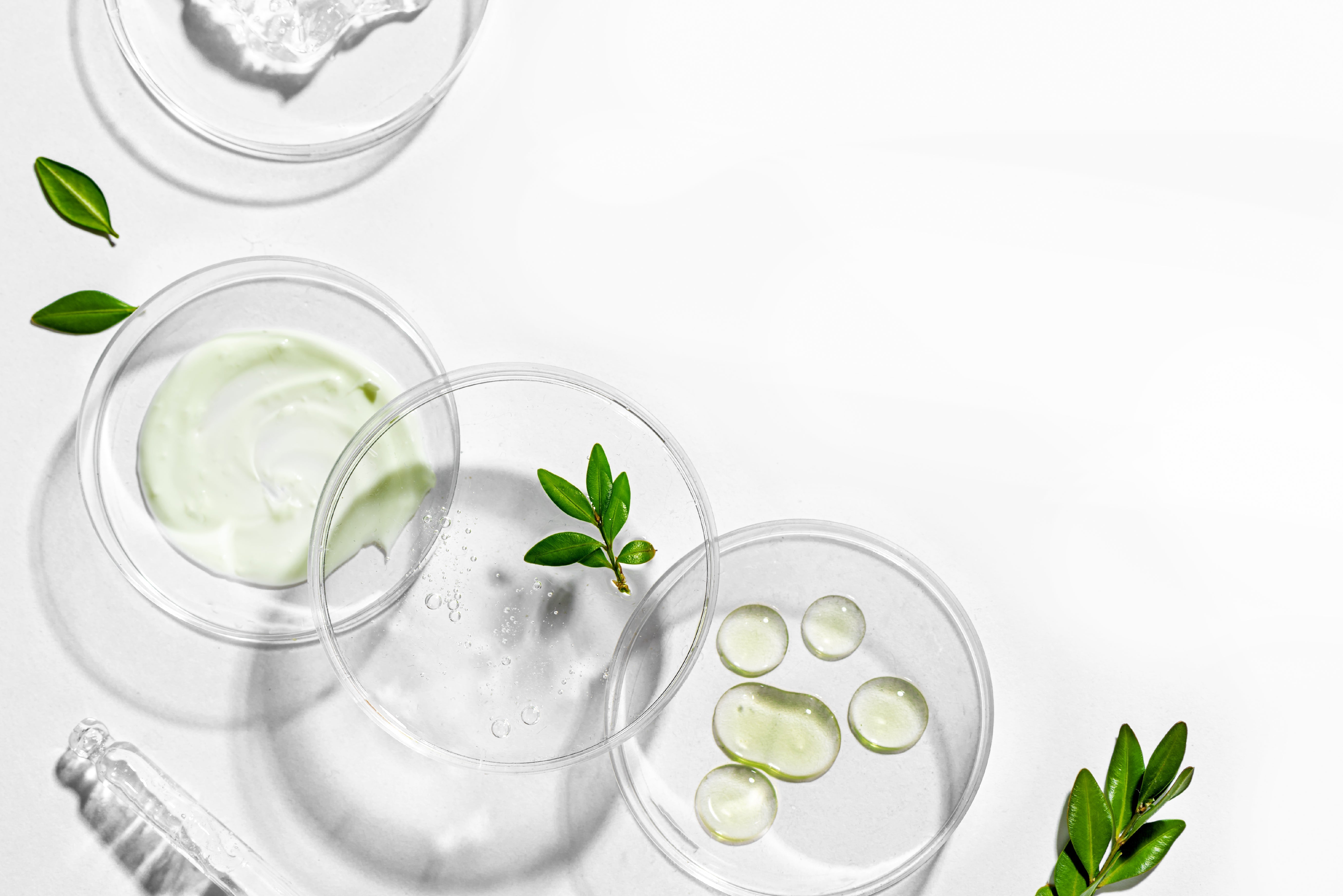 Why Clean Ingredients Matter Even More in the New Year – Bloop